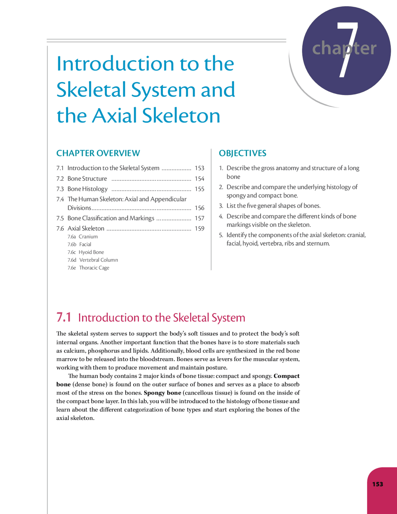 Introduction to the Skeletal System and the Axial Skeleton | Study ...