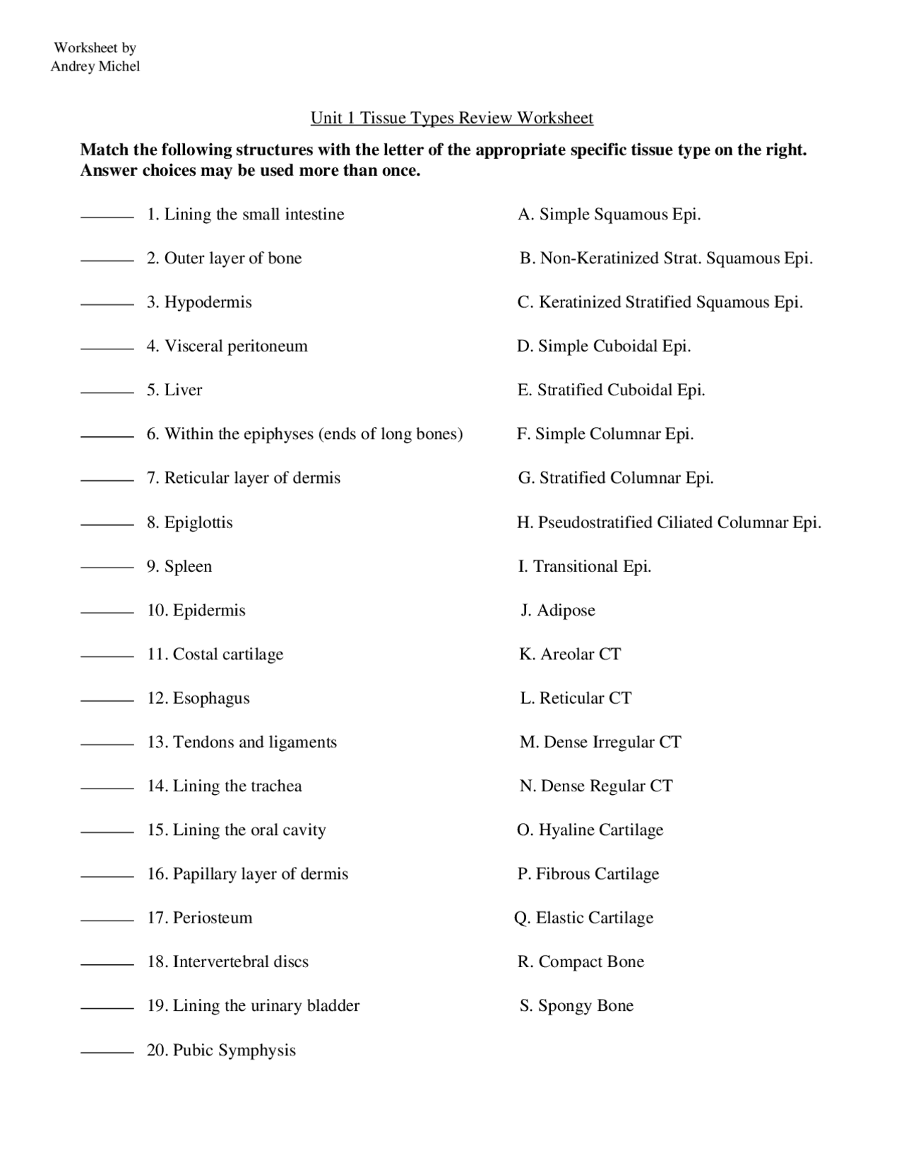 Tissue Types Worksheet
