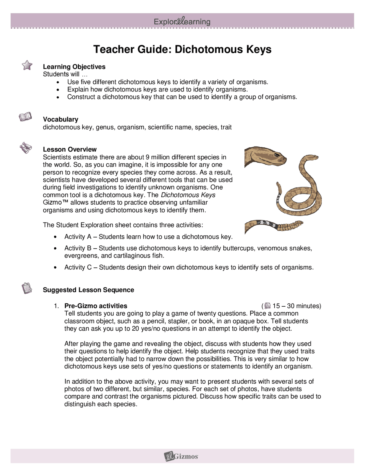 Teacher Guide: Dichotomous Keys | Study notes Biology | Docsity
