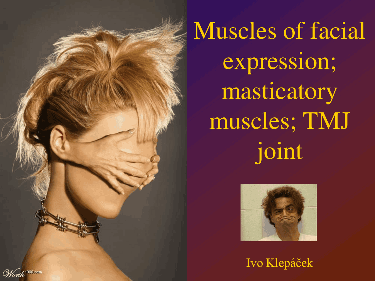 Muscles of facial expression; masticatory muscles; TMJ joint | Study ...