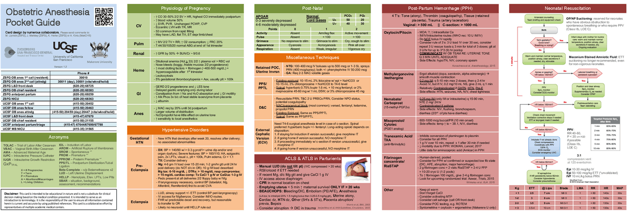 Obstetric Anesthesia Pocket Guide | Summaries Nursing | Docsity