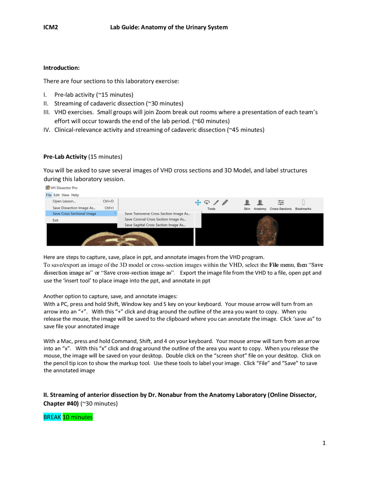 ICM2 Lab Guide: Anatomy of the Urinary System 1 Introduction | Schemes ...