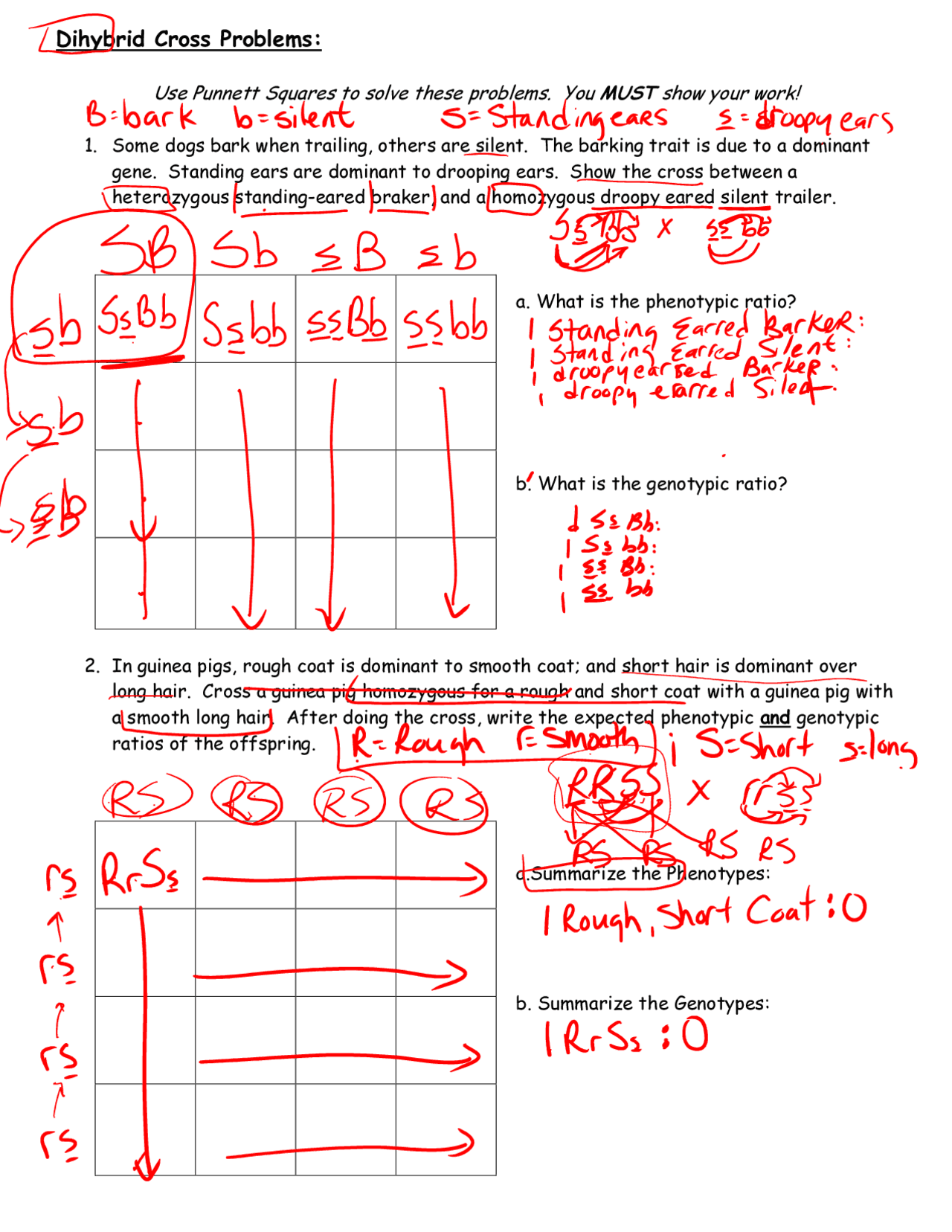 Dihybrid Cross Example Problems Free Worksheets Printable