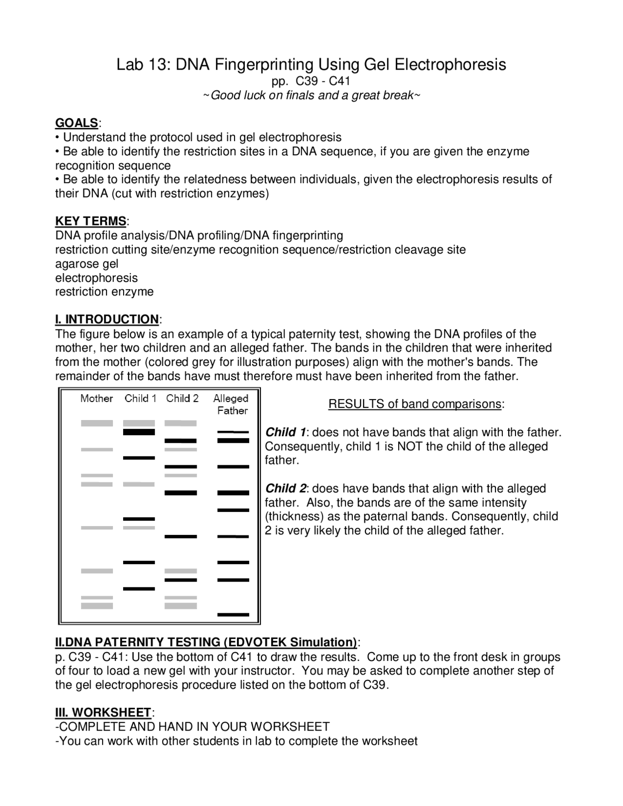 Lab 13: DNA Fingerprinting Using Gel Electrophoresis | Apuntes Genética ...