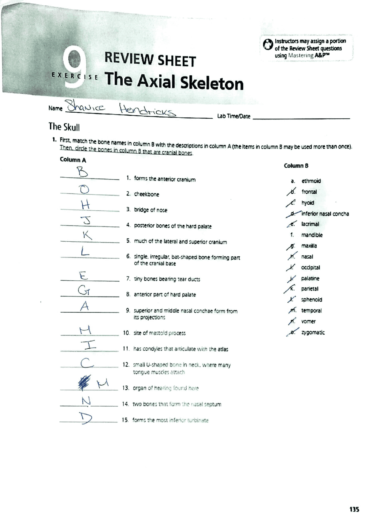 The Axial Skeleton Exercises Anatomy Docsity