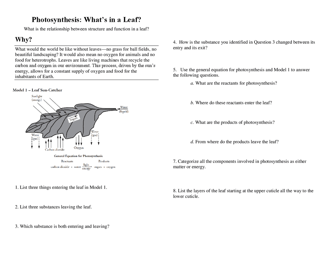 Photosynthesis What S In A Leaf Pogil Answers Key - Infoupdate.org