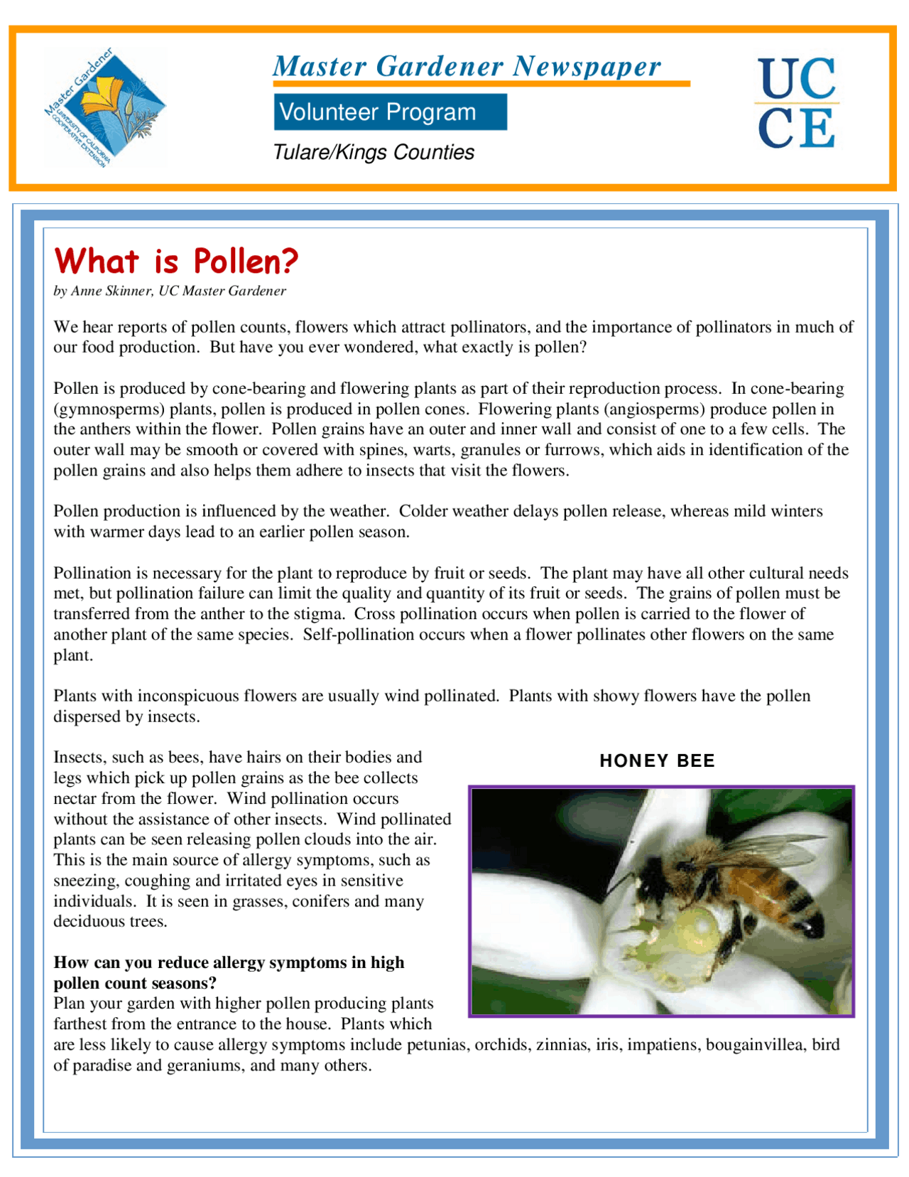 What is Pollen? | Study notes Plant Biotechnology | Docsity