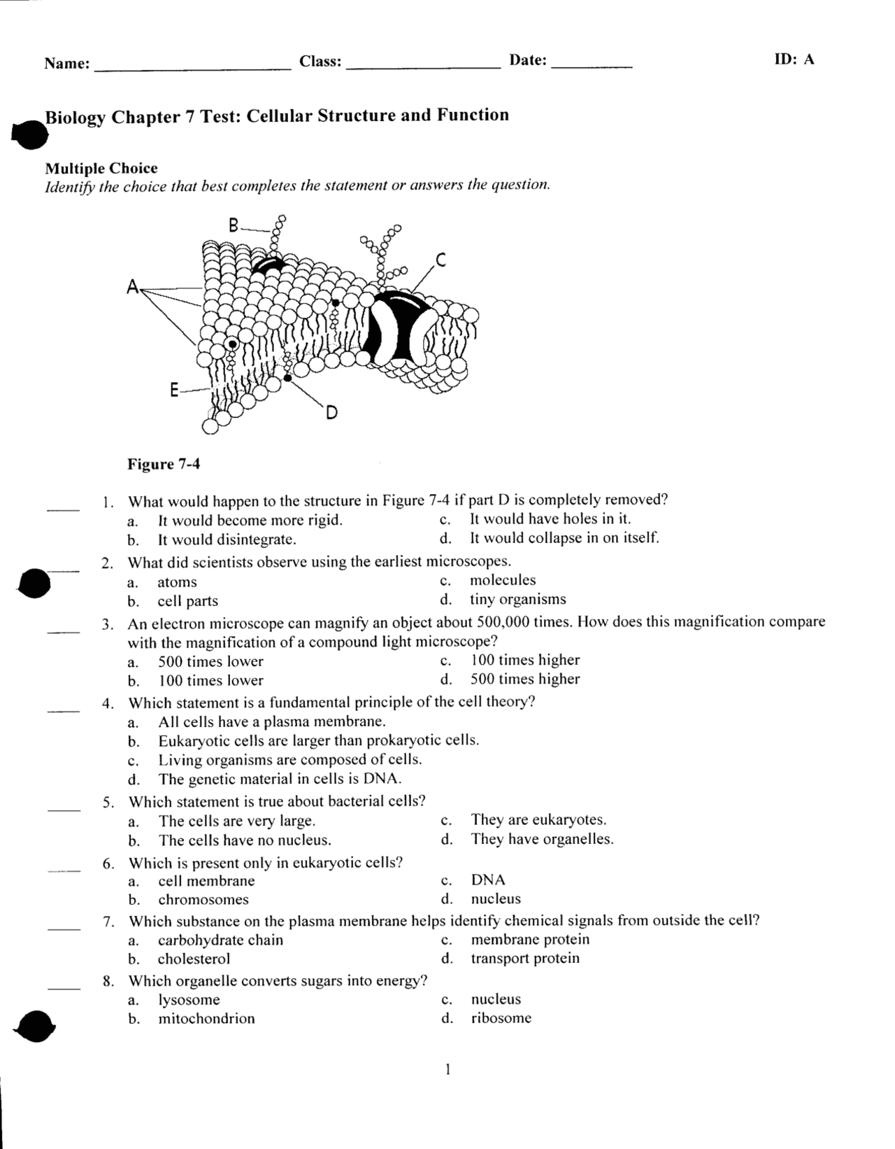 Biology Chapter 7 Test Cellular Structure And Function Lecture Notes Biology Docsity