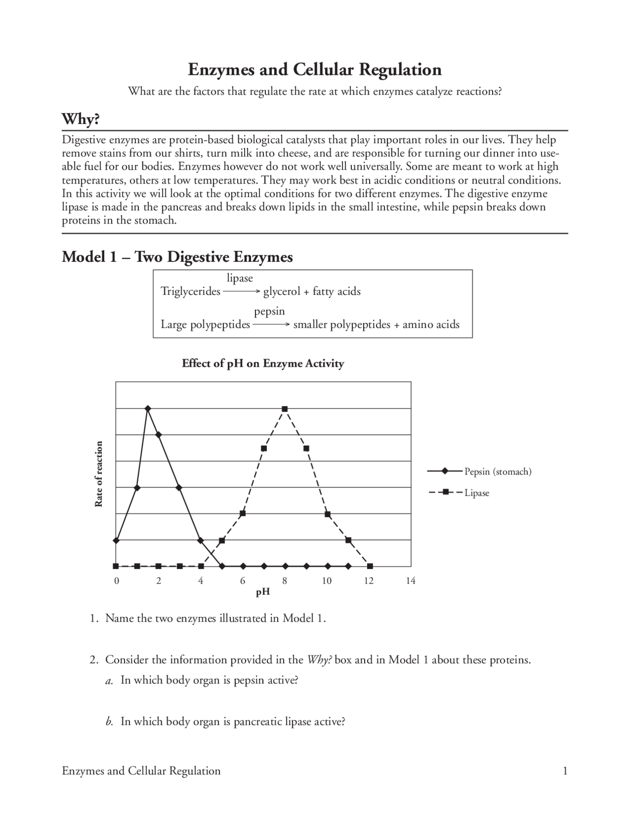 Enzymes and Cellular Regulation | Lecture notes Cell Biology | Docsity