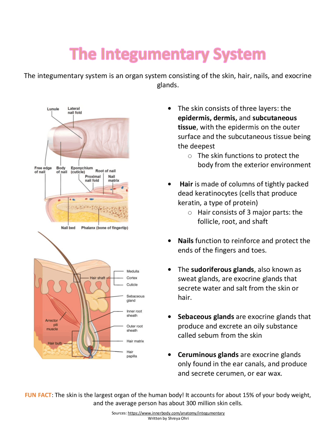 The integumentary system is an organ system consisting of ... | Slides ...
