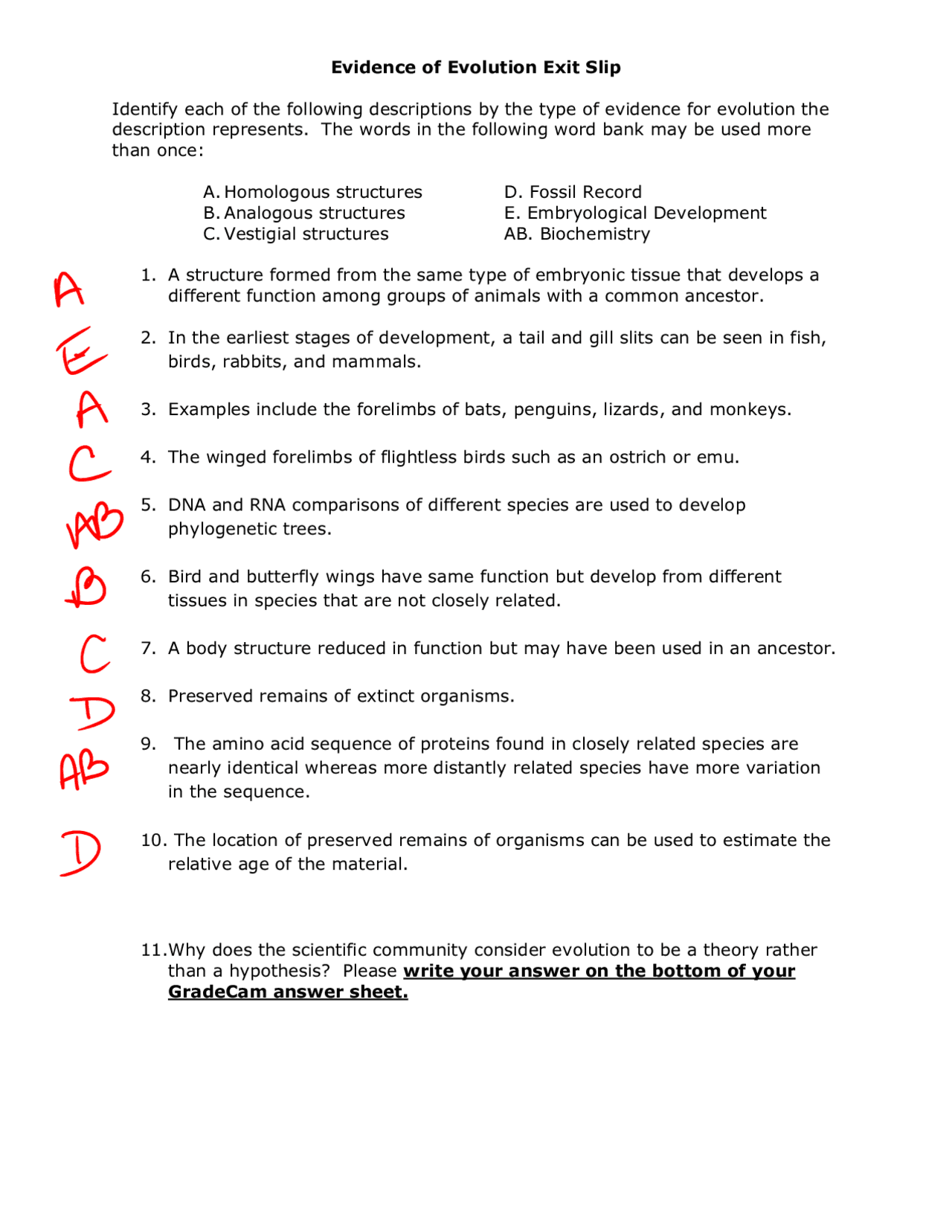 Evidence of Evolution Exit Slip | Study notes Biochemistry | Docsity