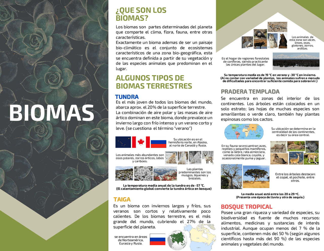 INFOGRAFÍA DE LOS BIOMAS (TIPOS, EJEMPLOS, UBICACIÓN GEOGRÁFICA, FAUNA ...