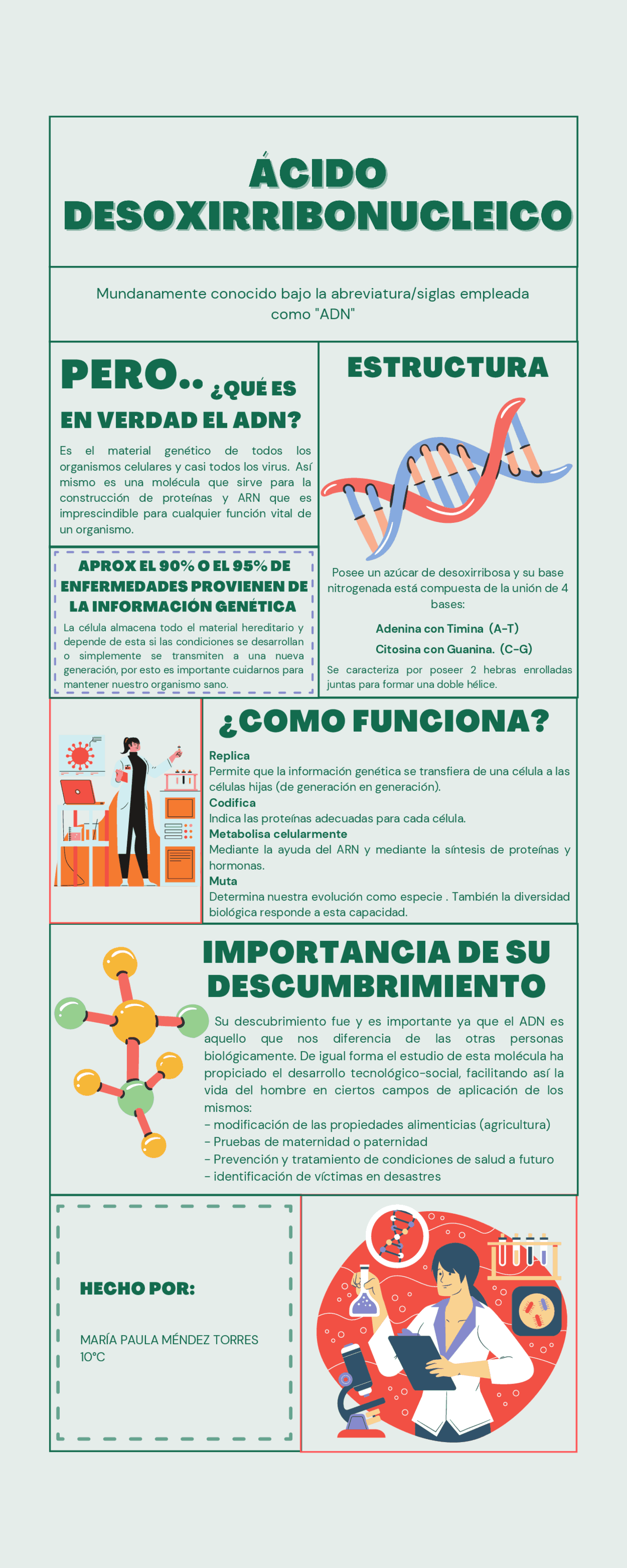 INFOGRAFÍA SOBRE EL ADN (DEFINICIÓN, BASES NITROGENADAS, FUNCIÓN E ...