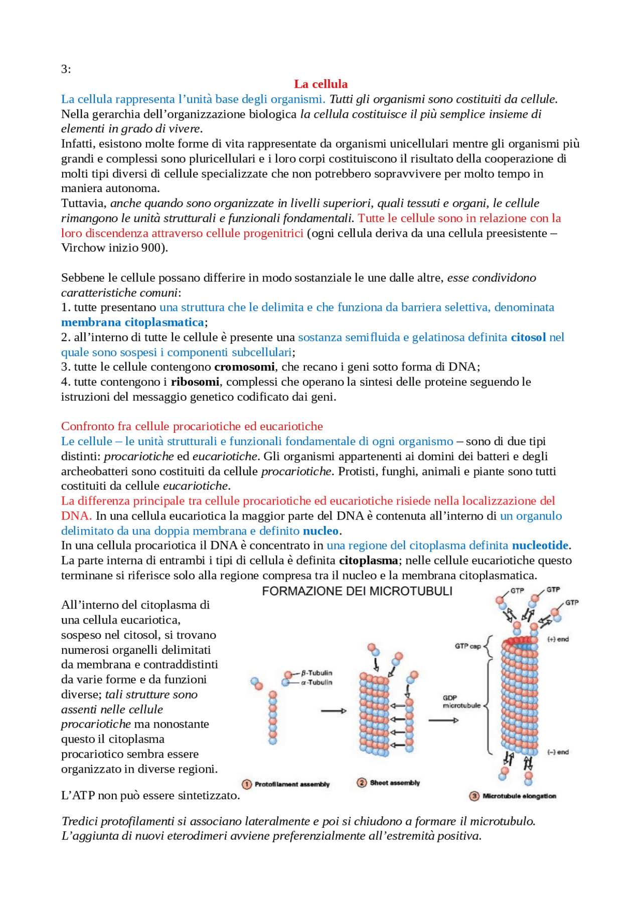 La cellula: le sue caratteristiche e le sue funzioni | Appunti di Biologia | Docsity