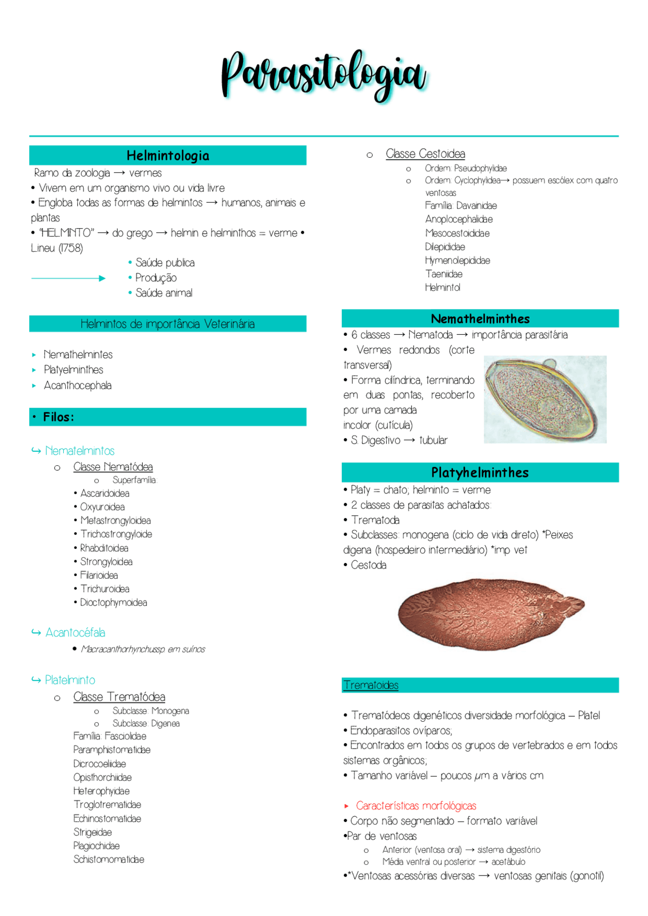 Parasitologia - Helmintos/ Artrópodes | Resumos Parasitologia - Docsity