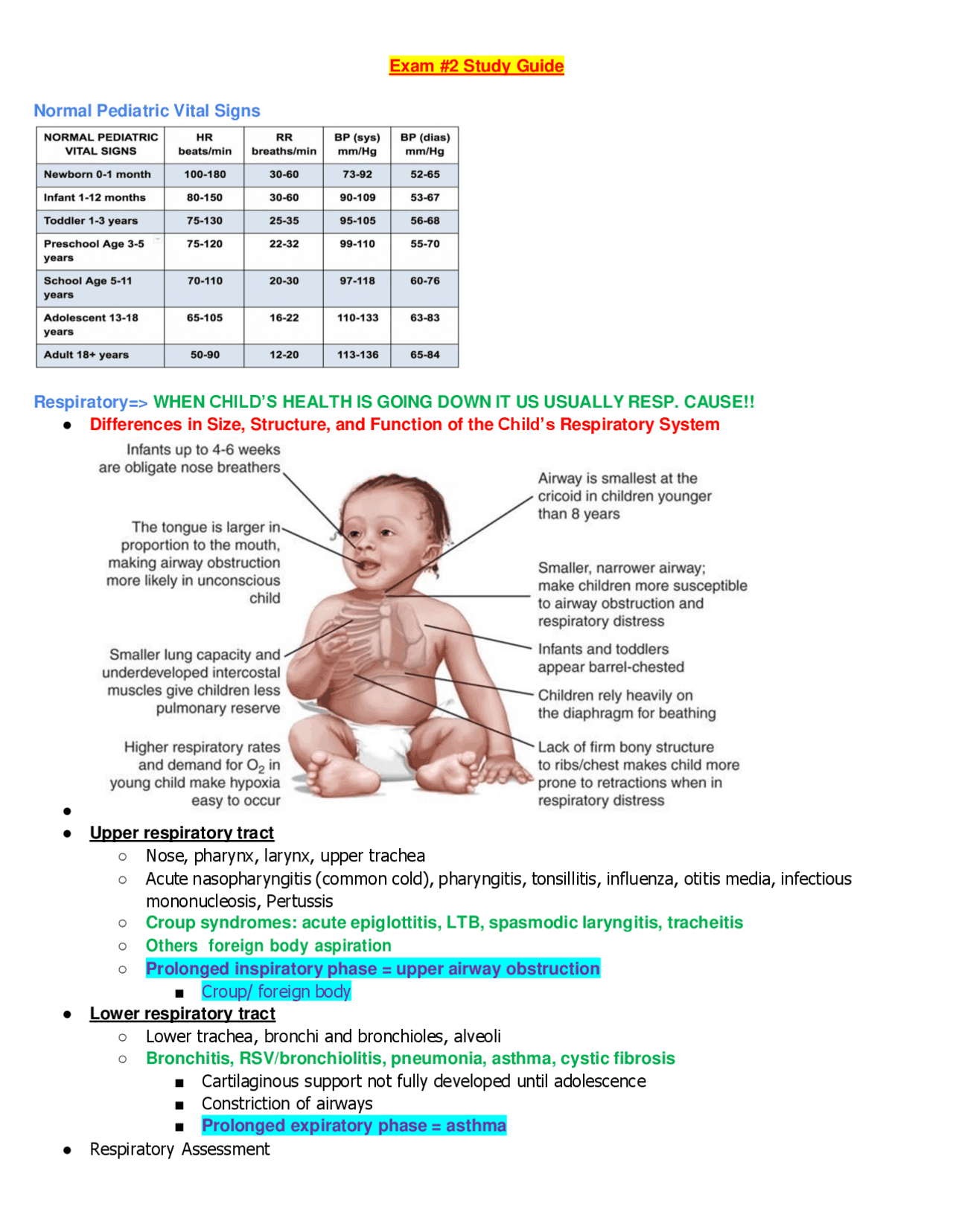 Pediatric Respiratory System and Disorders Study Guide | Exams Nursing ...
