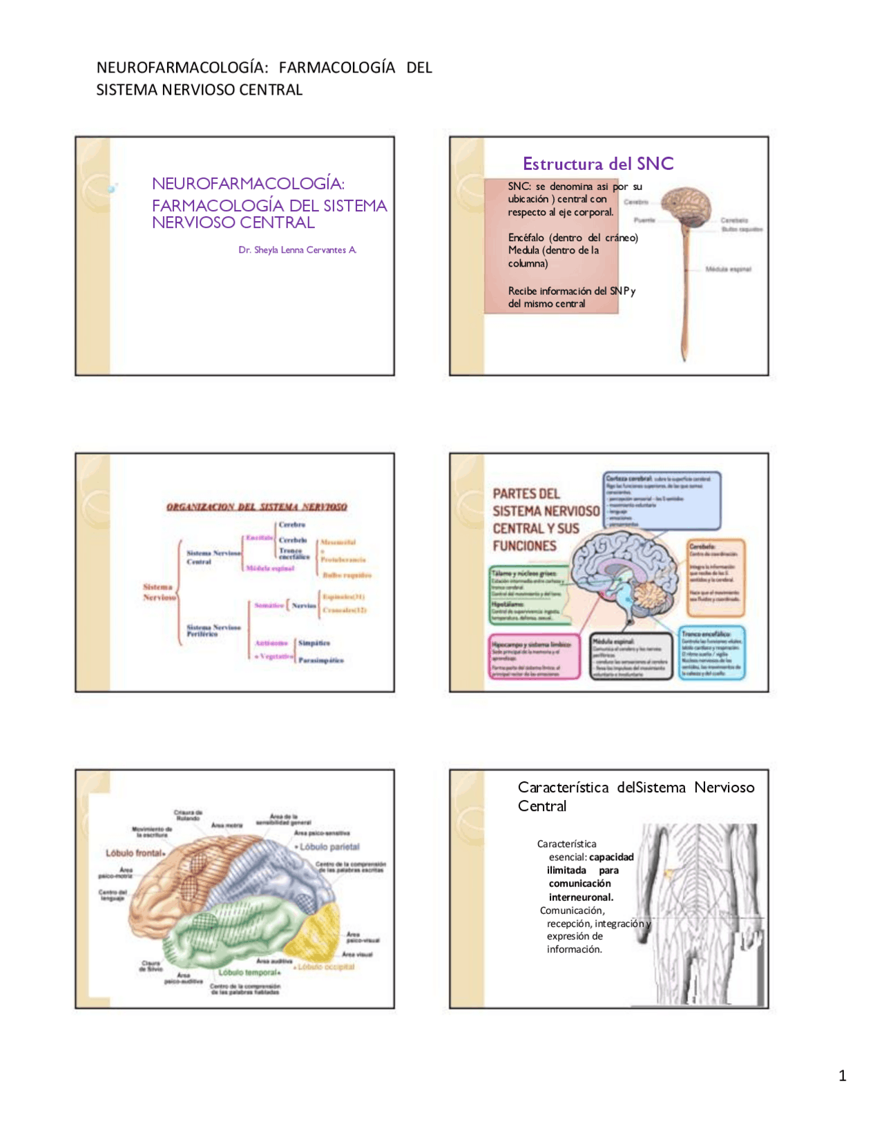 NeurofarmacologÍa FarmacologÍa Del Sistema Nervioso Central Apuntes
