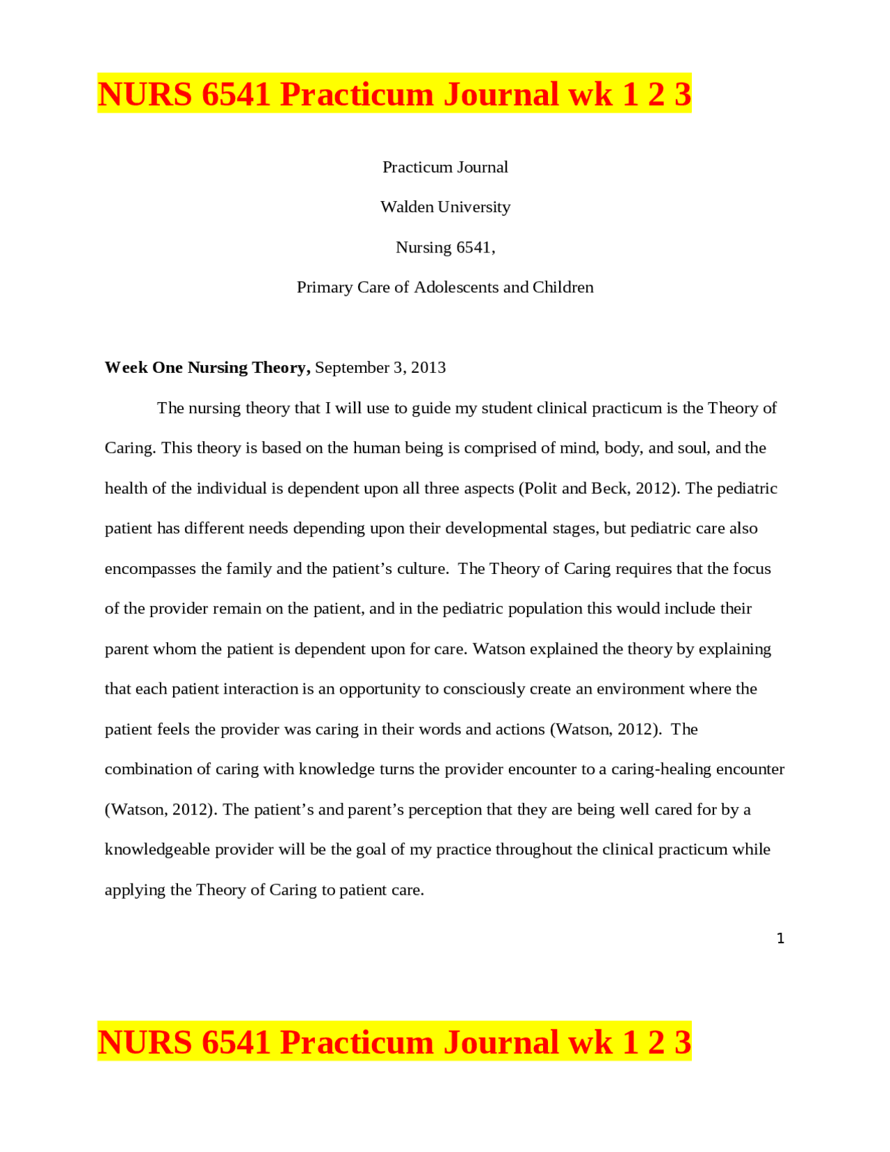 NURS 6541 Practicum Journal wk 1 2 3 | Transcriptions Nursing | Docsity