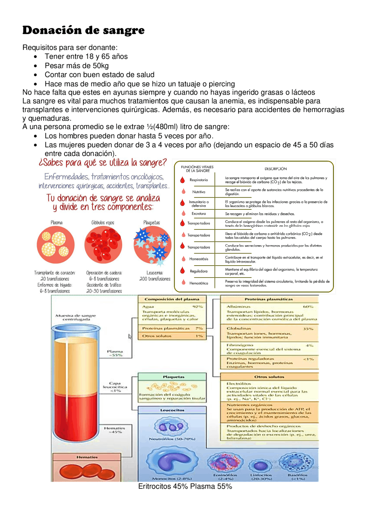 Donación De Sangre Resumen De Clase Apuntes De Biología Docsity