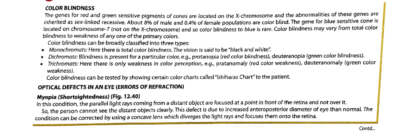 Color blindness and its cause, treatment | High school final essays ...