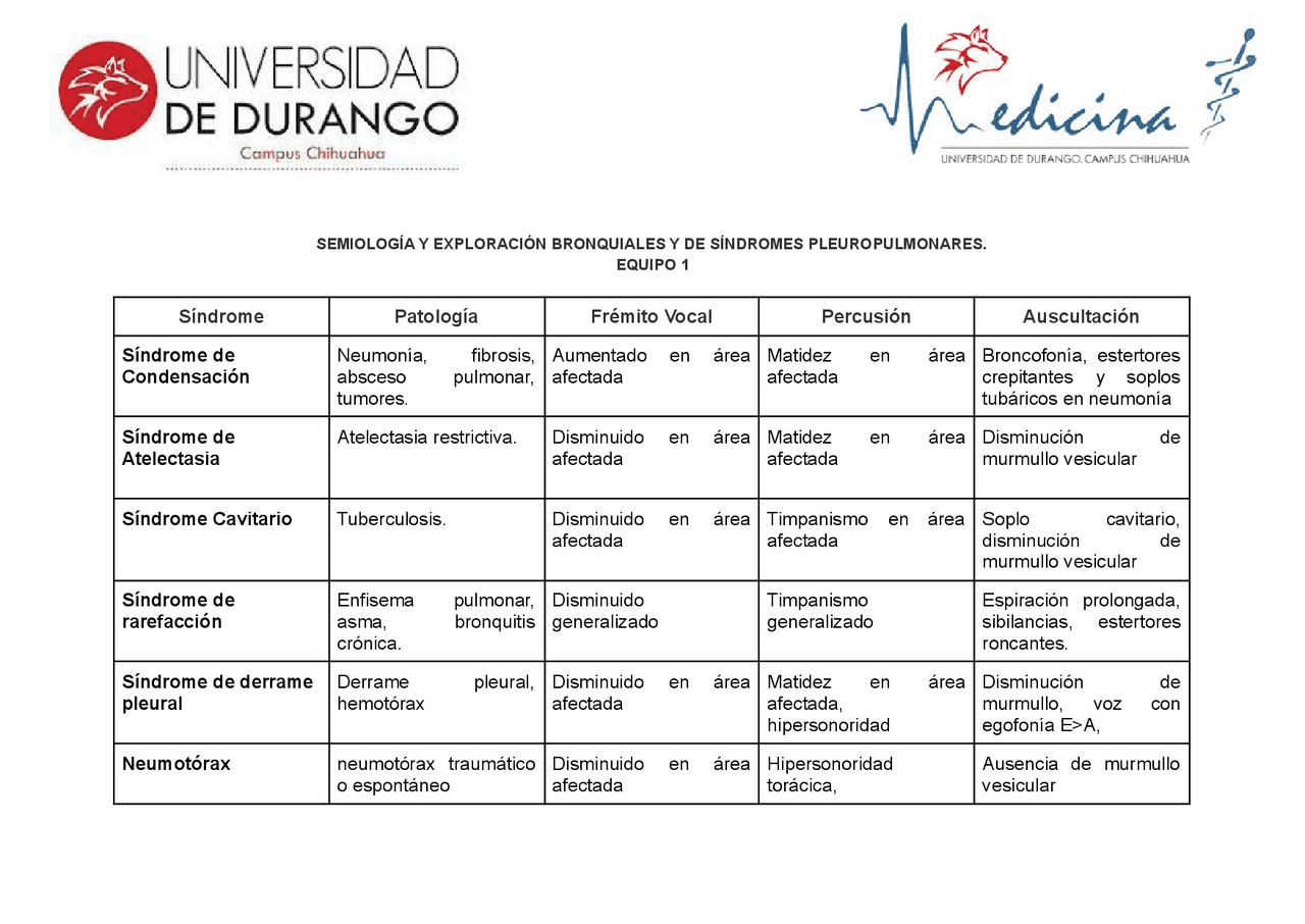 Todo Sobre Enfisema Pulmonar Apuntes De Neumología Docsity