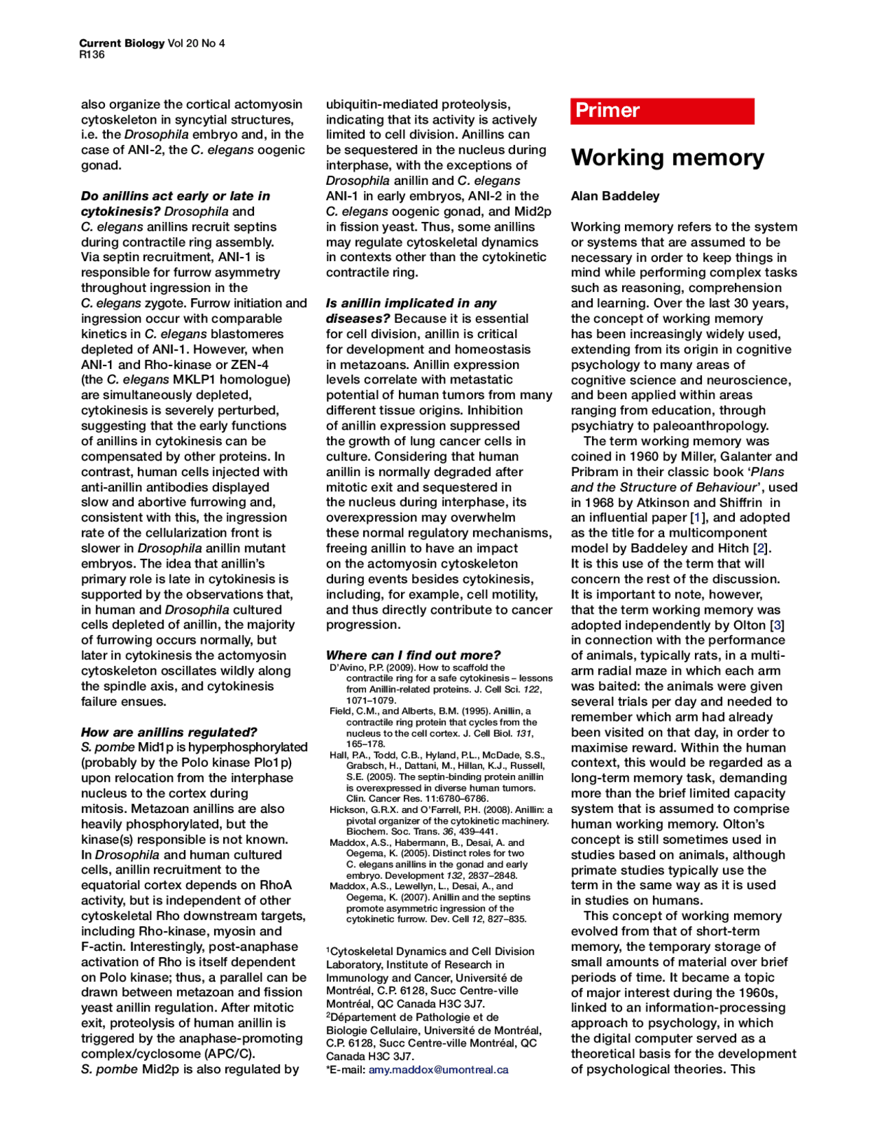Working memory analysis | Study Guides, Projects, Research Psychology - Docsity