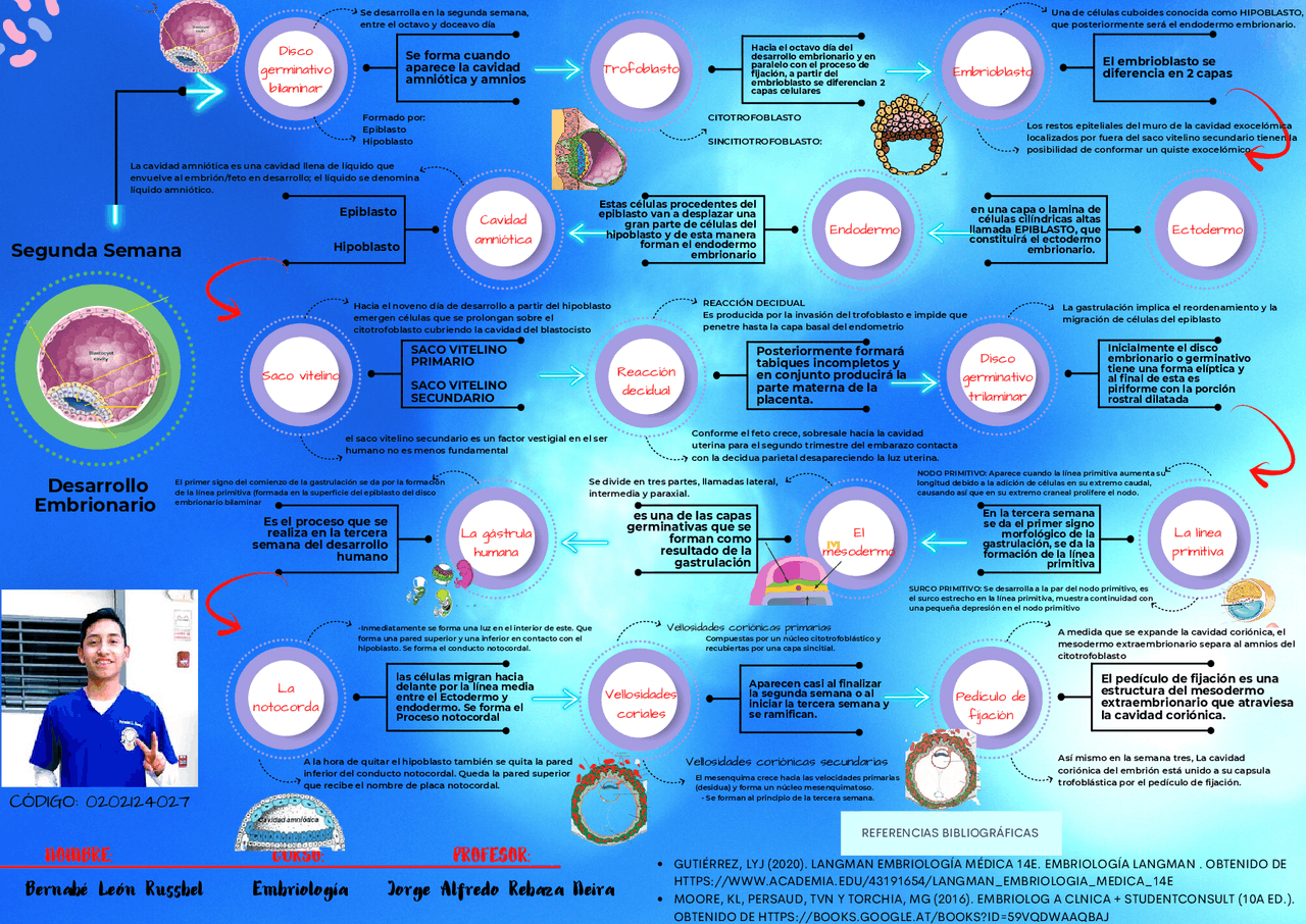 Pequeños resúmenes sobre temas tratados en clase de embriología humana ...