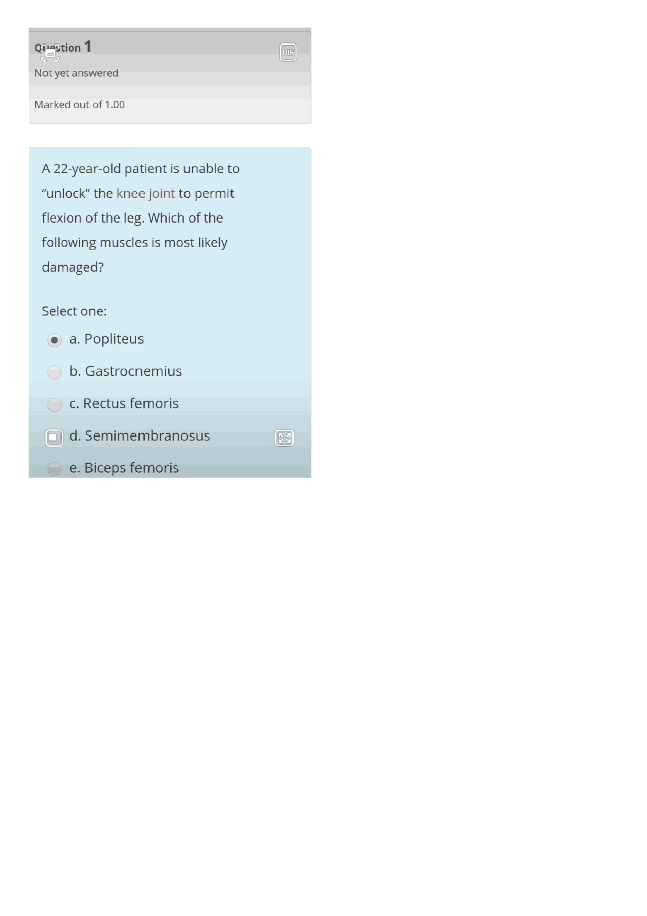 Anatomy Lower Limb Mcqs Quiz Quizzes Anatomy Docsity