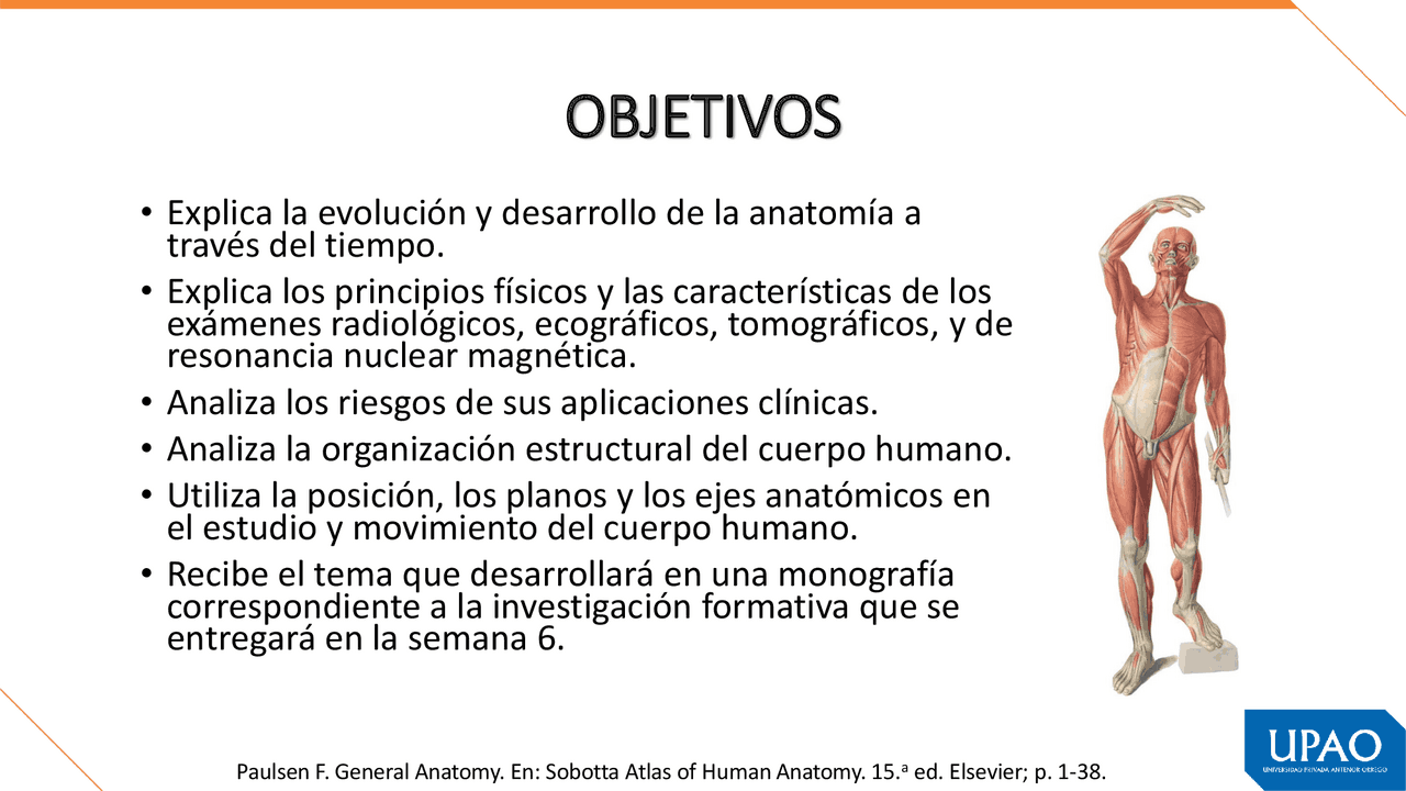 Planos Y Ejes De Anatomía Planos Y Ejes Corporales Posiciones