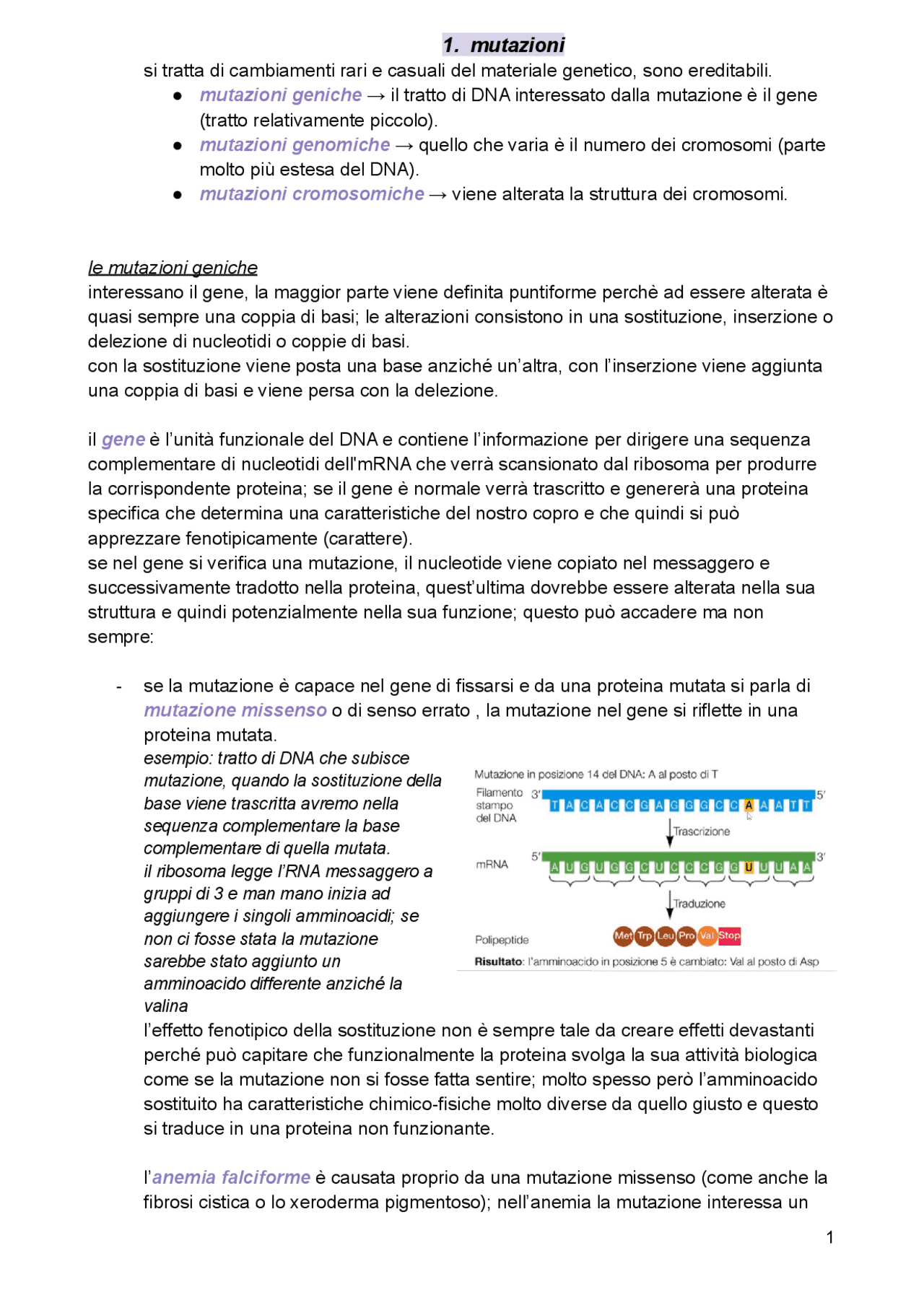 Mutazioni genetiche: definizione, tipologie e conseguenze | Dispense di ...