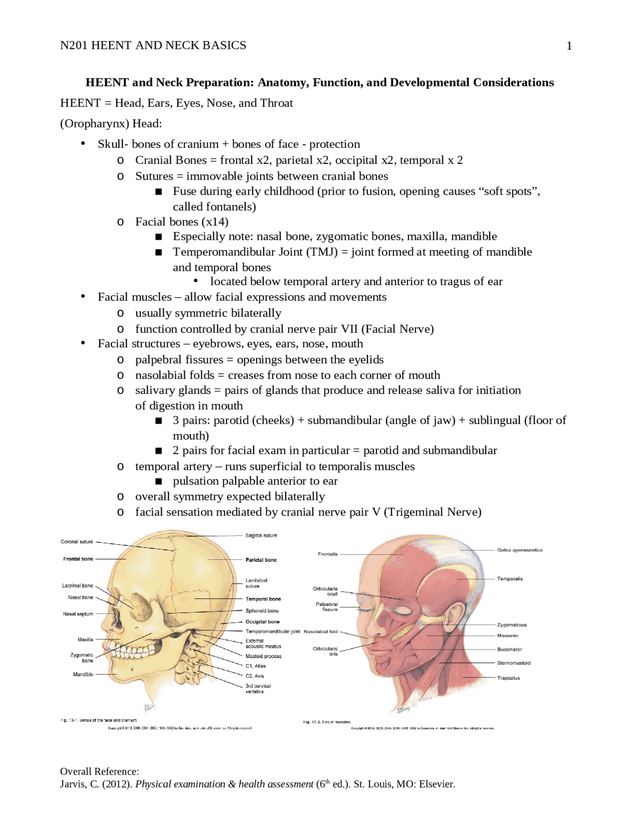 N 283 / N201_HEENT and Neck Preparation Updated | Exams Nursing | Docsity