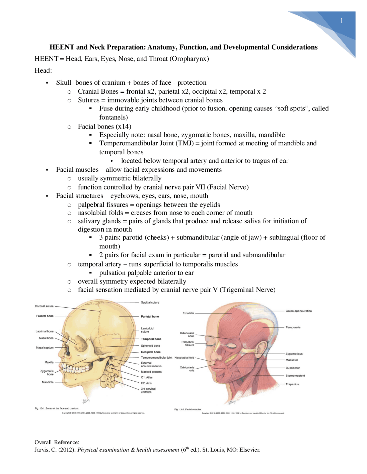 N 283 / N201_HEENT and Neck Preparation Updated | Exams Nursing - Docsity