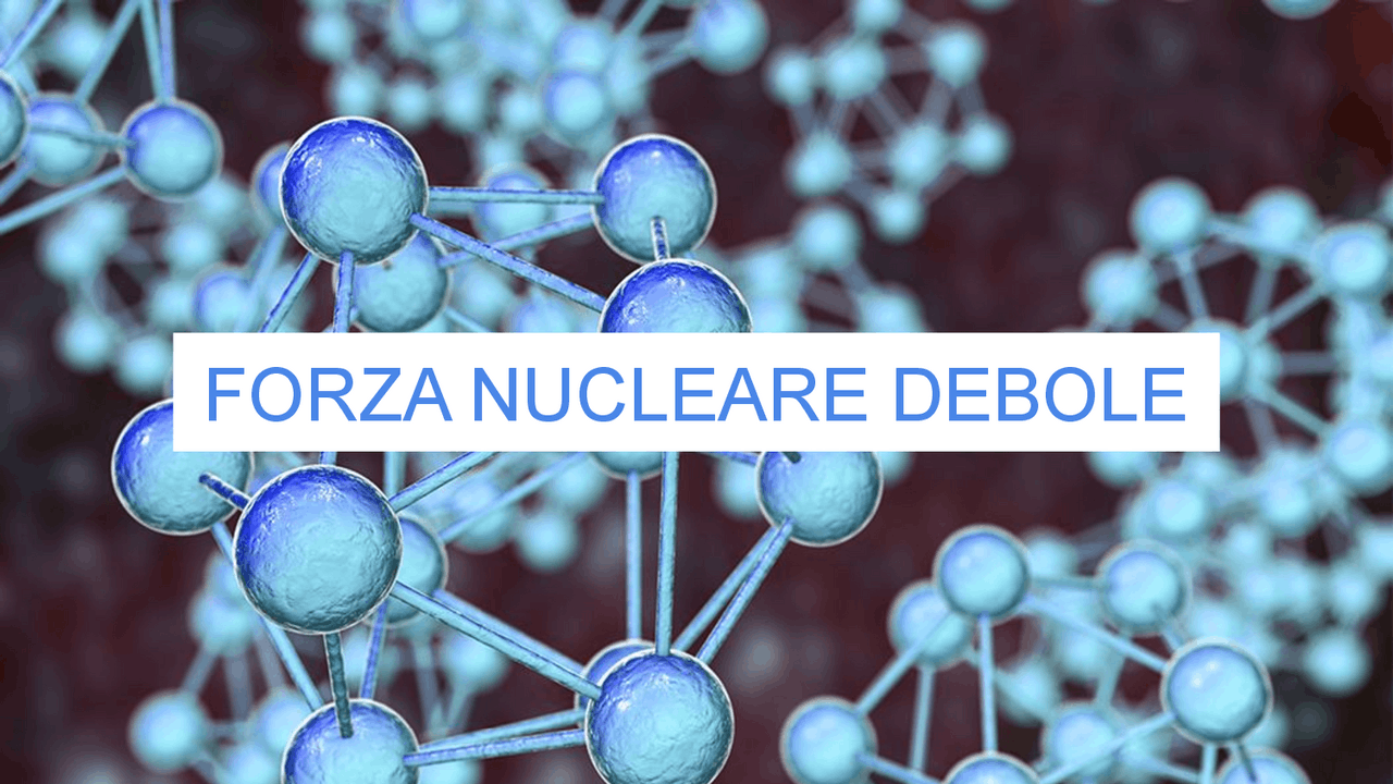 La forza nucleare debole e la fisica delle particelle elementari ...