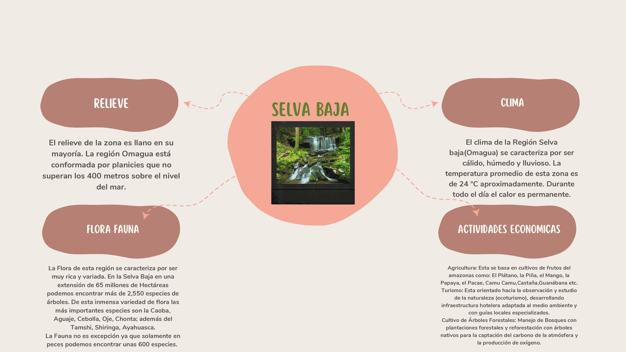 Tema de las regiones naturales del Perú | Esquemas y mapas conceptuales ...