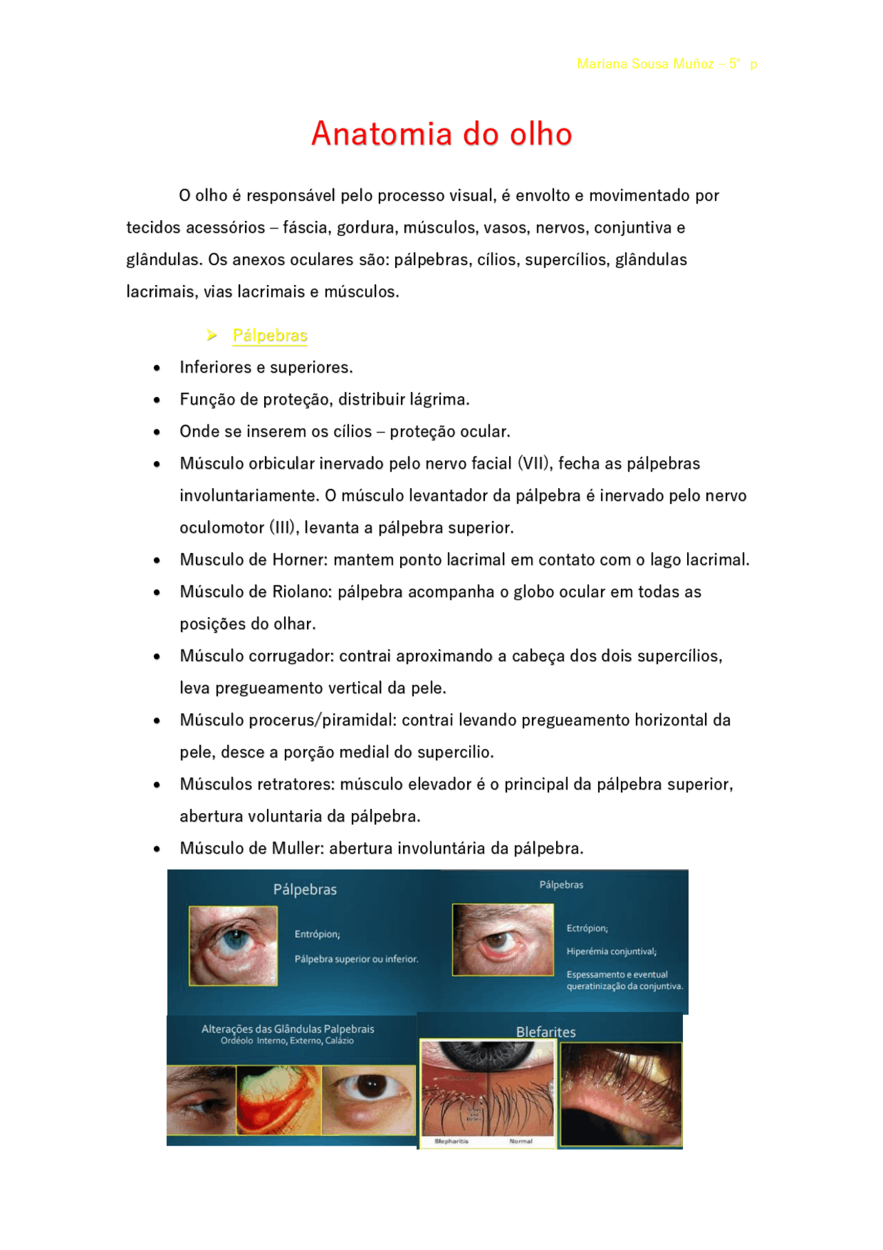 Anatomia do olho - oftalmologia[ | Notas de estudo Anatomia - Docsity