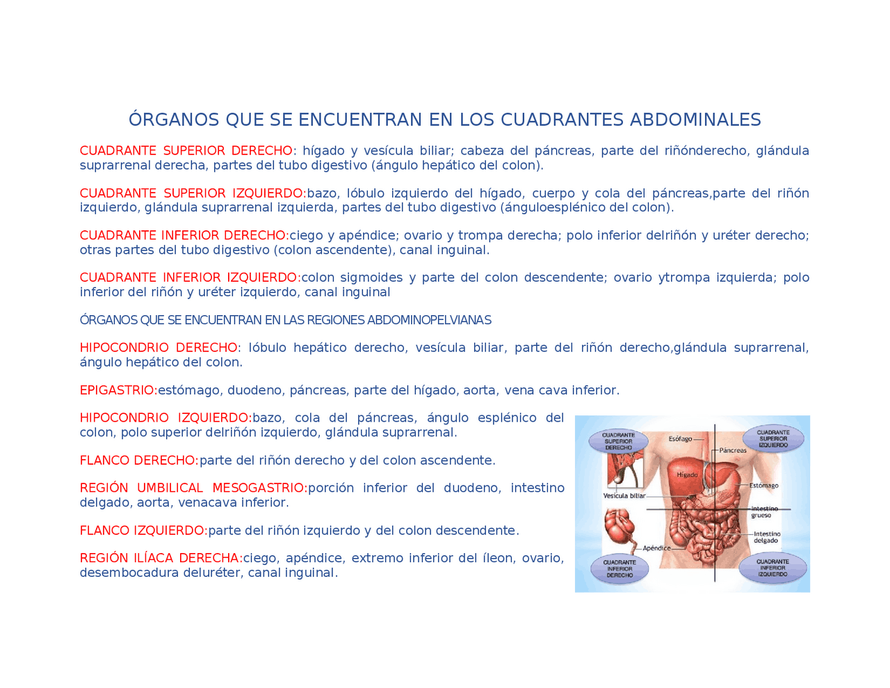 Exploración Abdominal Apuntes De Semiología Docsity