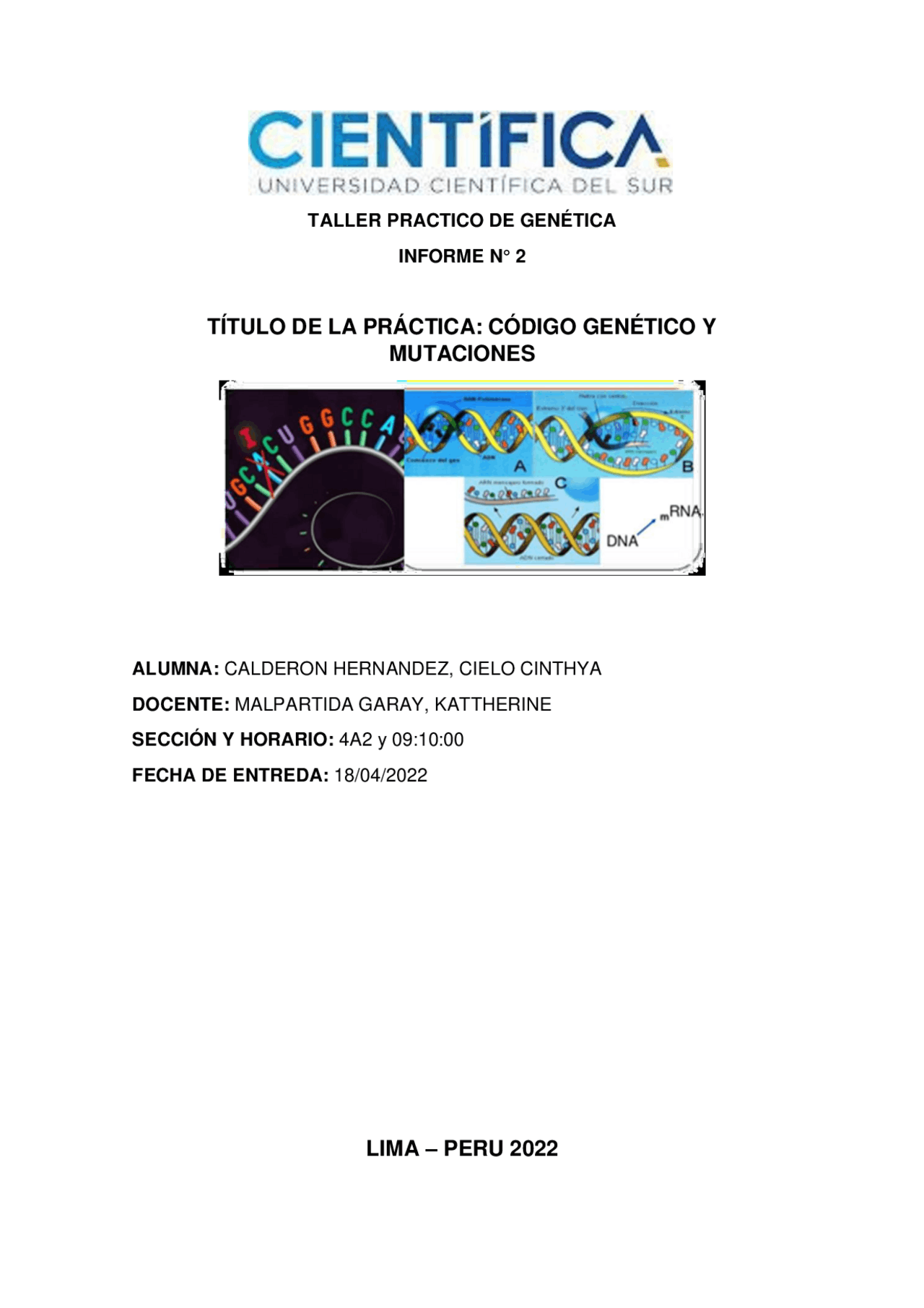Informe 2 Genetica Codigo Genetico Y Mutaciones Apuntes De Genética