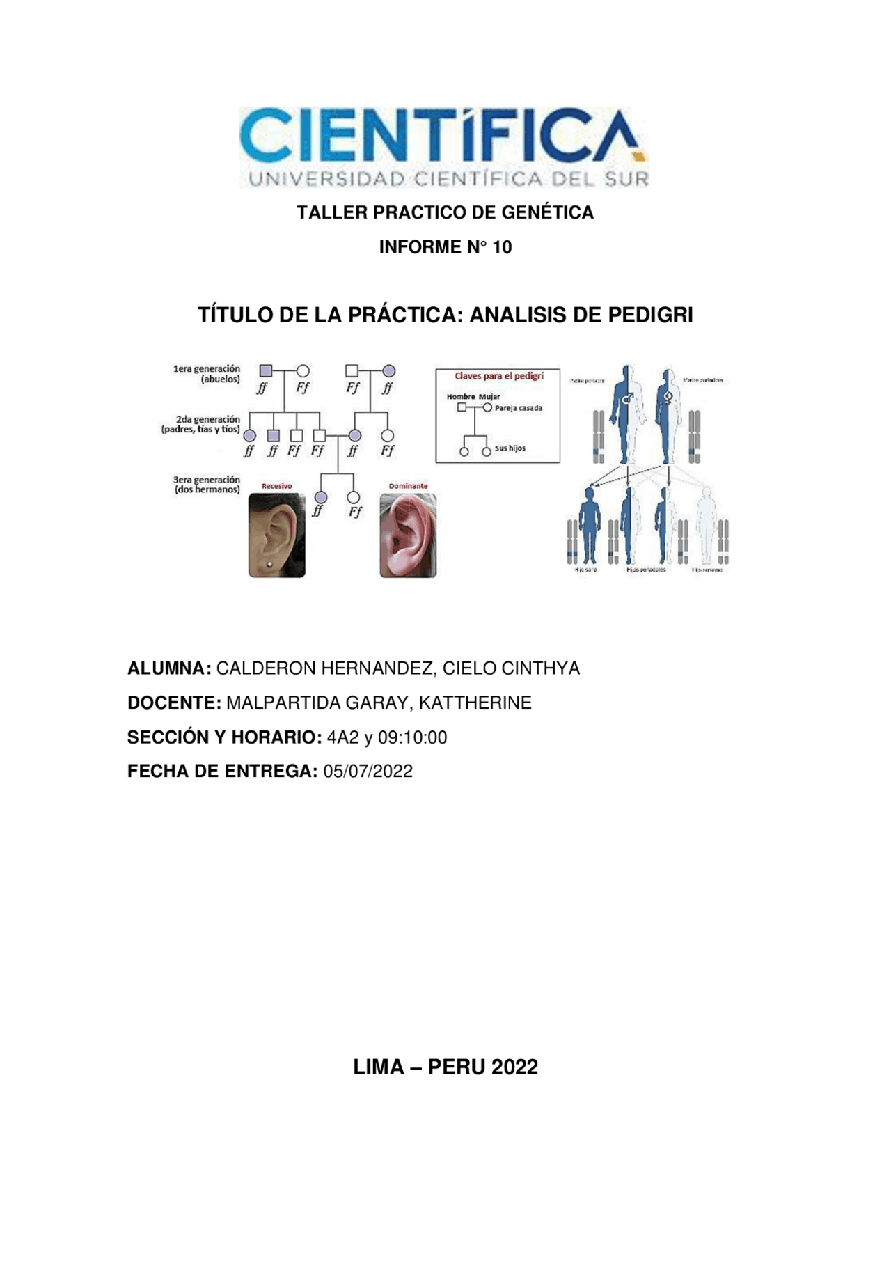 Informe Genetica Analisis De Pedigri Ucsur Resúmenes De Genética