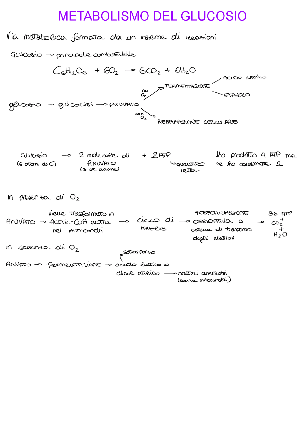 Metabolismo Del Glucosio Schemi E Mappe Concettuali Di Biologia Docsity