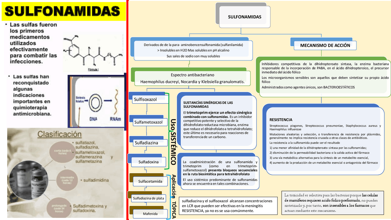 SULFONAMIDAS - FARMACOLOGÍA | Apuntes de Farmacología | Docsity