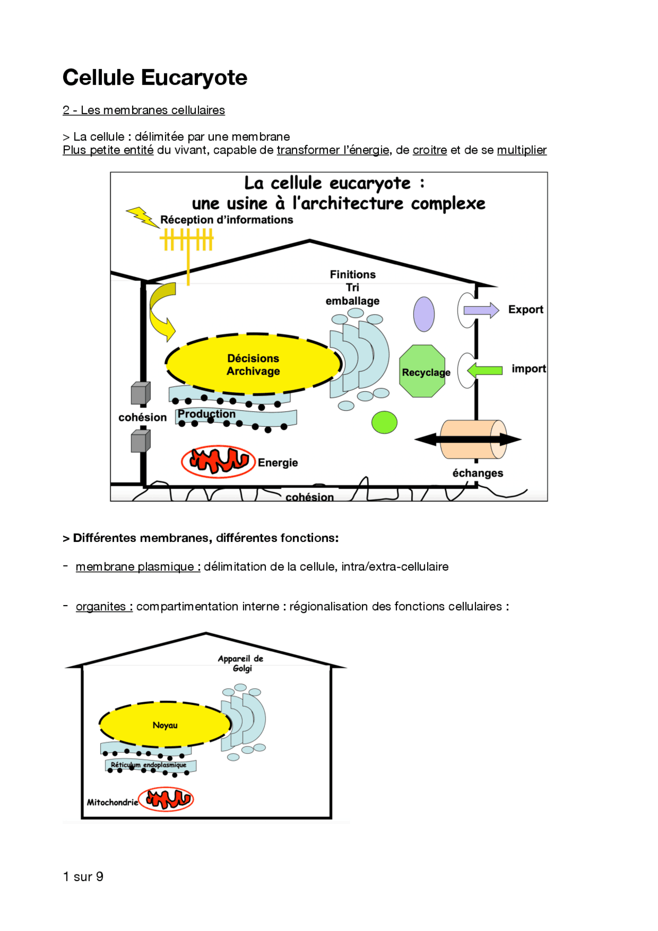 Fiche Cellule Eucaryote Membrane Notes Microbiologie Docsity