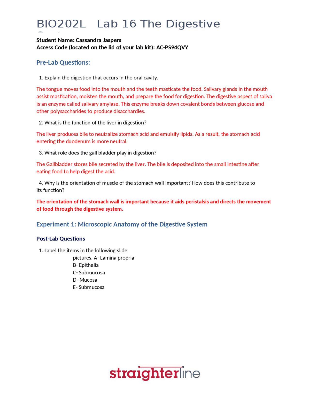 Bio202l Lab 16 The Digestive System Exams Nursing Docsity