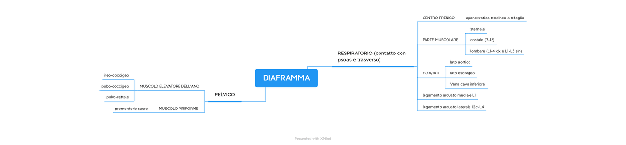 Diaframma Respiratorio E Pelvico Schemi E Mappe Concettuali Di