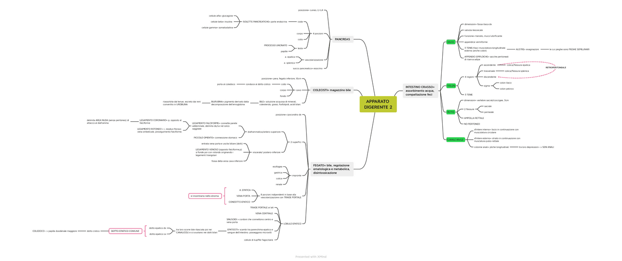 Sistema Digerente 2 Schemi E Mappe Concettuali Di Anatomia Docsity