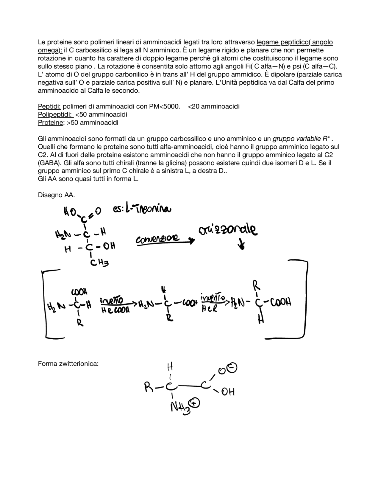 Struttura delle proteine e degli amminoacidi | Appunti di Biochimica Metabolica | Docsity
