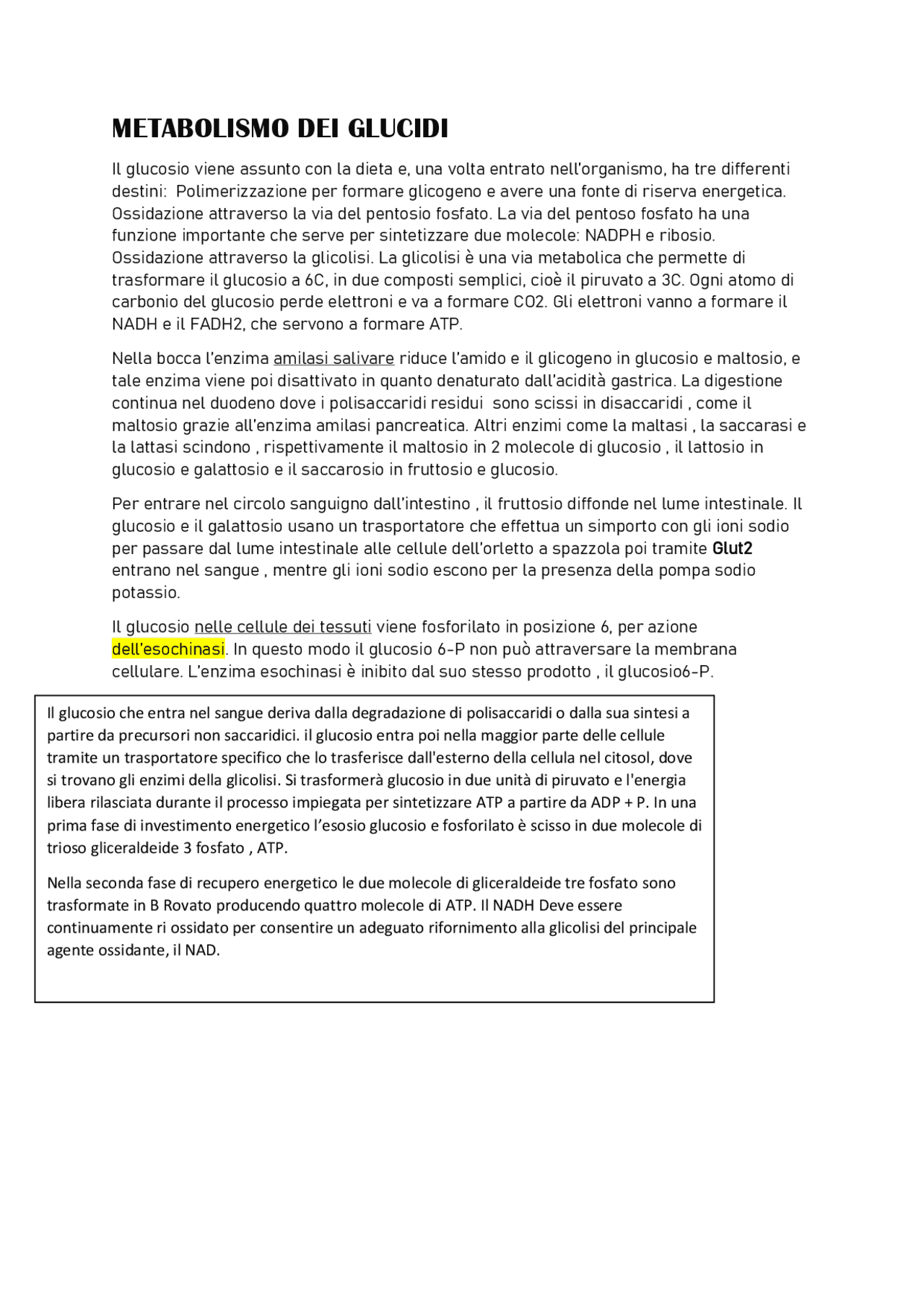 Il Metabolismo Dei Glucidi Glicolisi E Ciclo Di Krebs La
