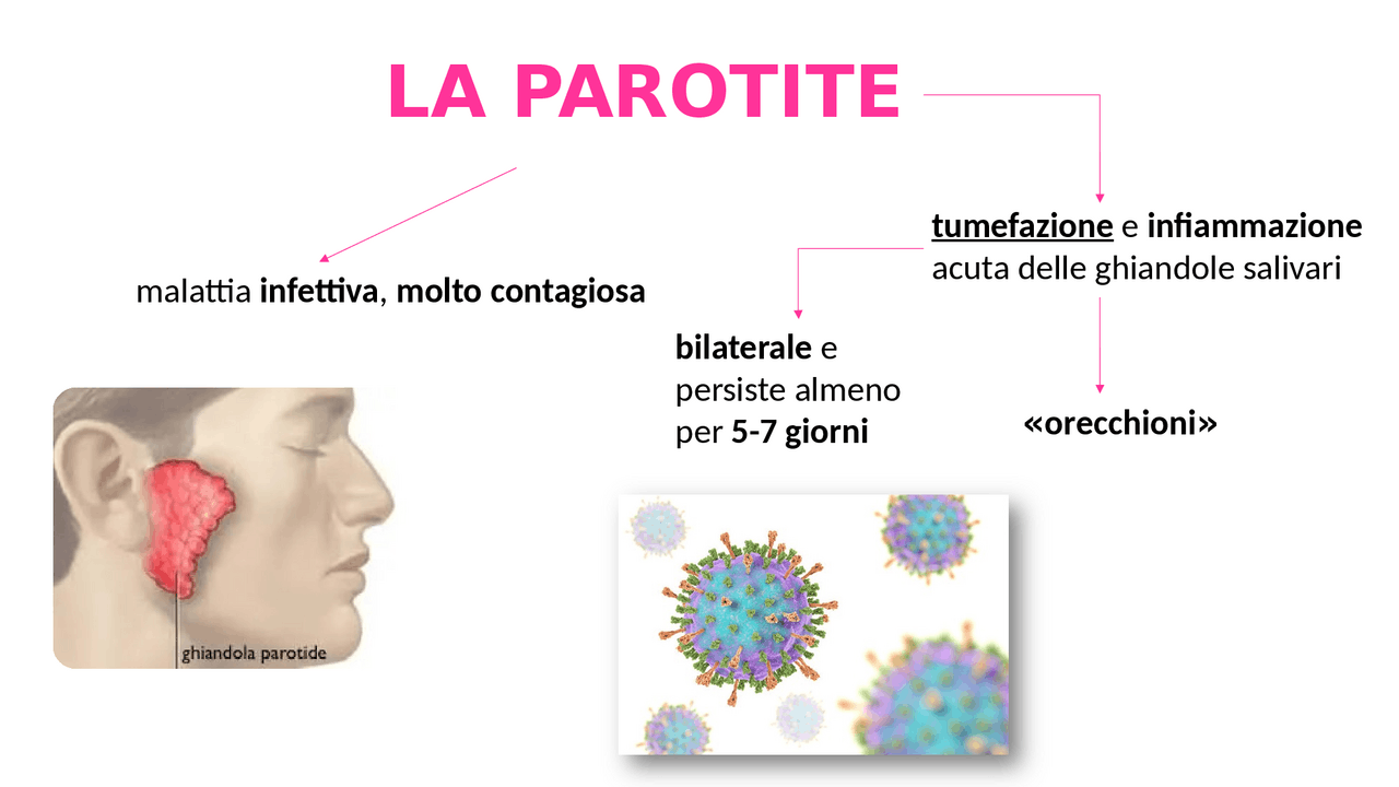 Spiegazione pertosse e parotite | Slide di Igiene | Docsity