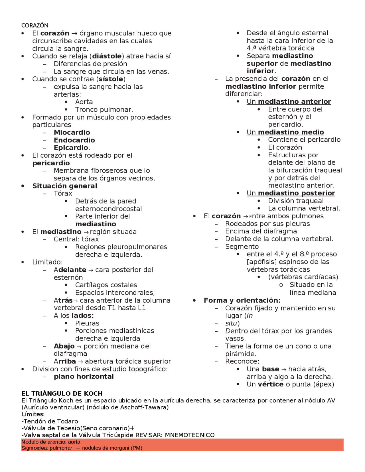 Apuntes De Anatomia Resúmenes De Anatomía Docsity