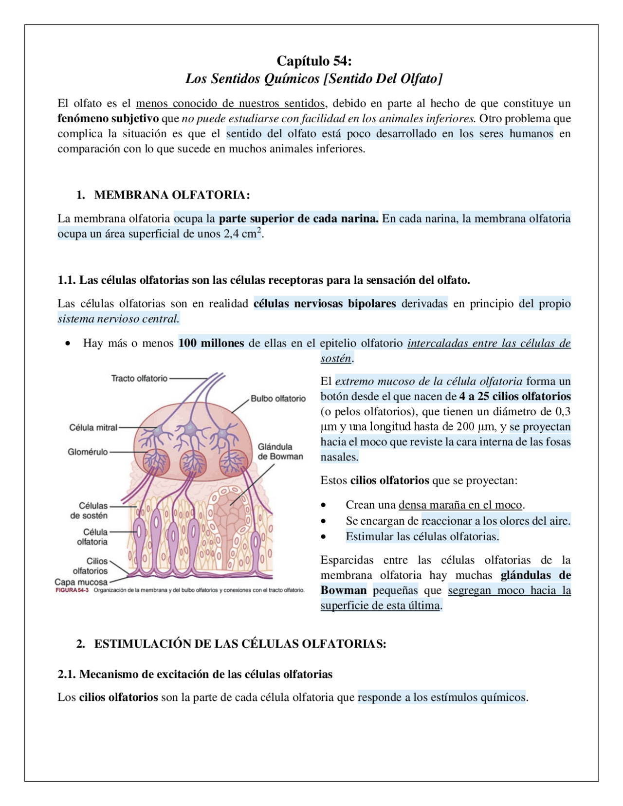 Capítulo 54 [Olfato] de Guyton | Resúmenes de Fisiología - Docsity