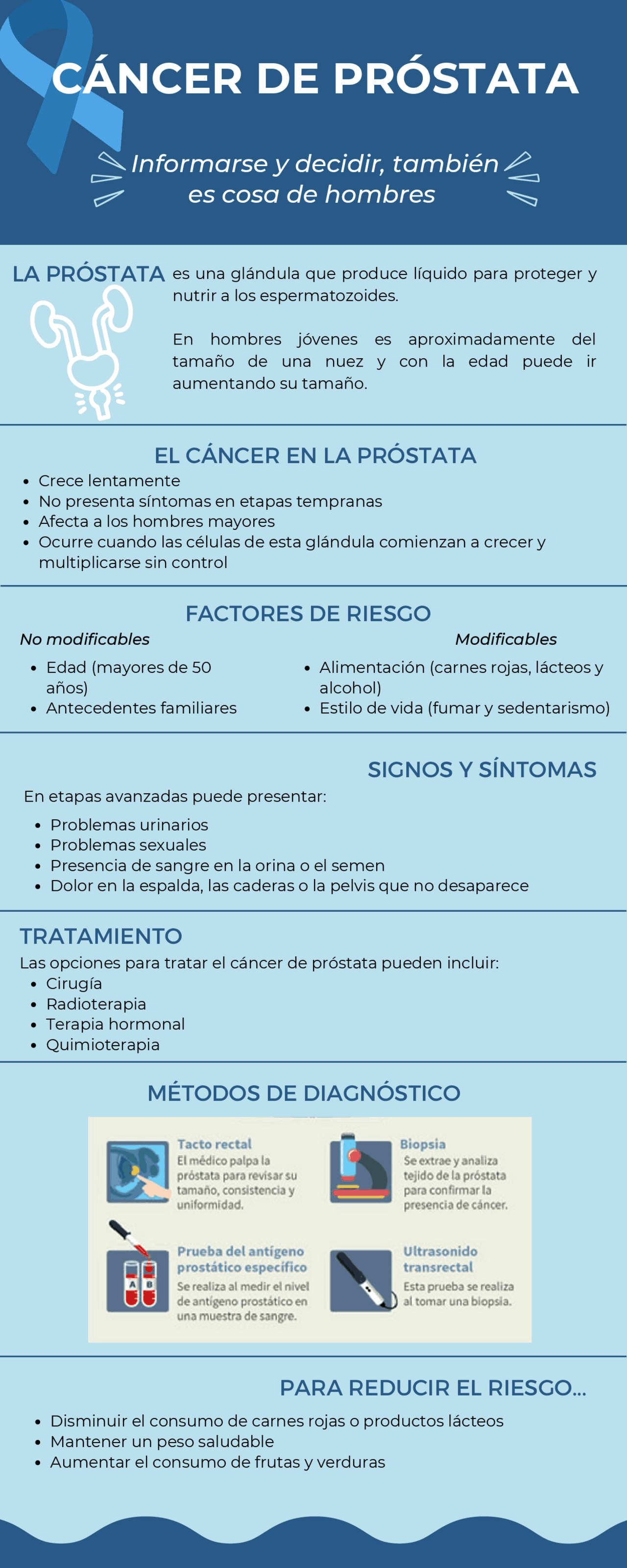 Infografía Cáncer De Próstata Y Testículo Apuntes De Oncología Docsity